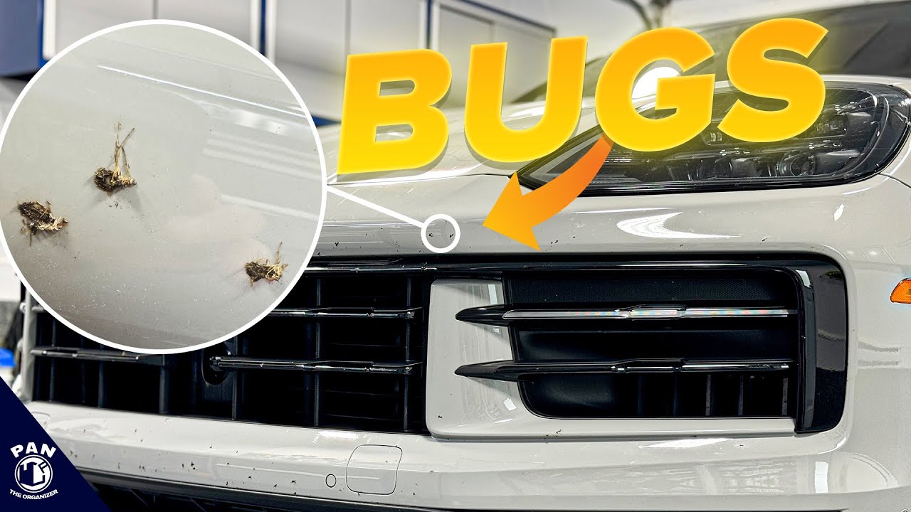 🥇 Bug Remover for Cars: 5 Simple Ways to Keep Your Ride Clean