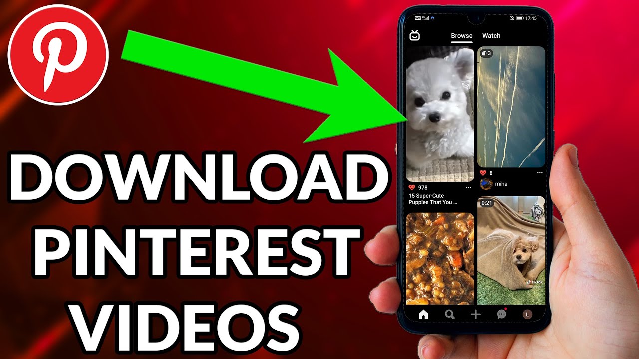 🥇 Pinterest Downloader – Ihre beste Wahl für das Speichern von ...